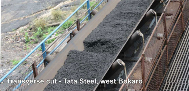 cross-belt-radial-sweep-sampler-4 - insmart systems